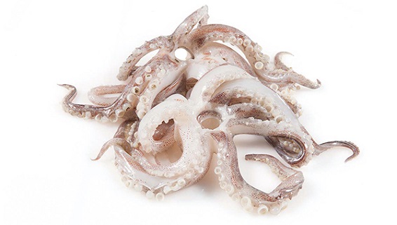 Productos - Pescados JL Cabaco, SL